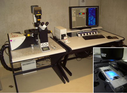Confocal Microscopy - Interdisciplinary Center for Functional Particle ...